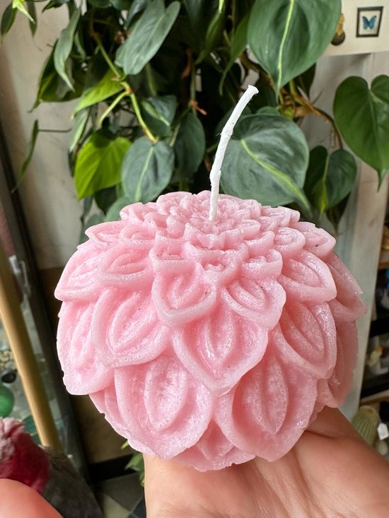 Bloem bol - kaars | bol