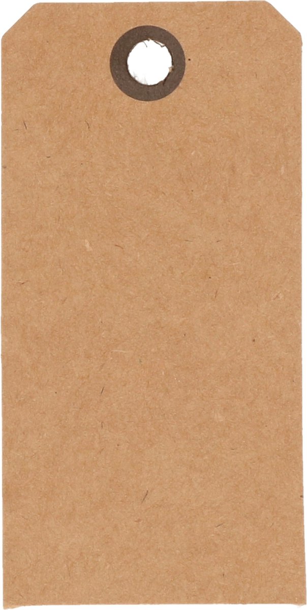 Cadeau tags/labels - kraftpapier/karton - 20x stuks - 7 x 4 cm ...