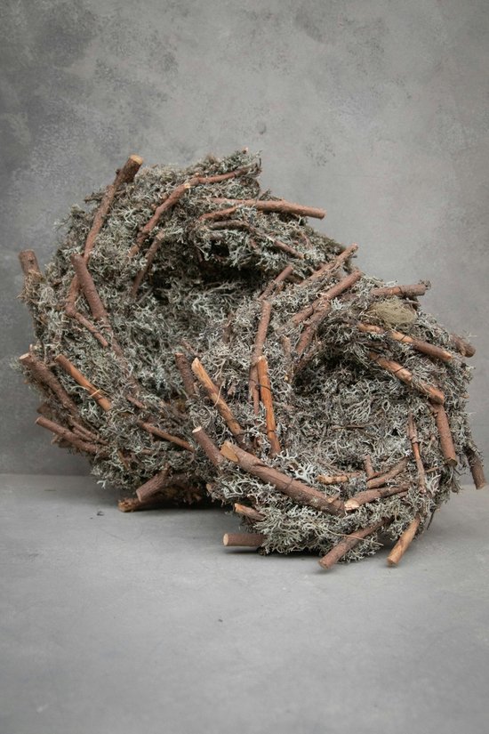 Couronne - Krans van mos met nest 'Sticks' (Natural grey, 40cm) | bol