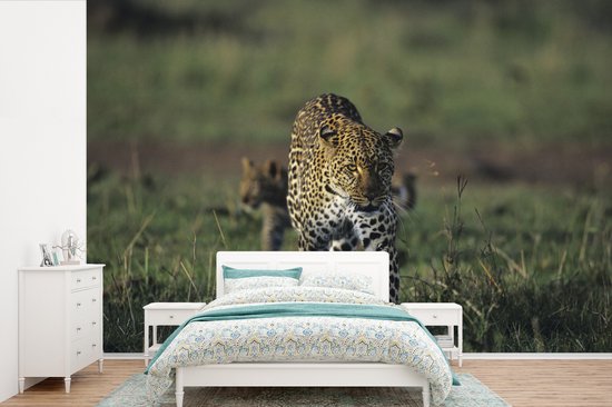 Behang - Fotobehang Panter op savanne in Kenia - Breedte 330 cm x hoogte 220 cm | bol