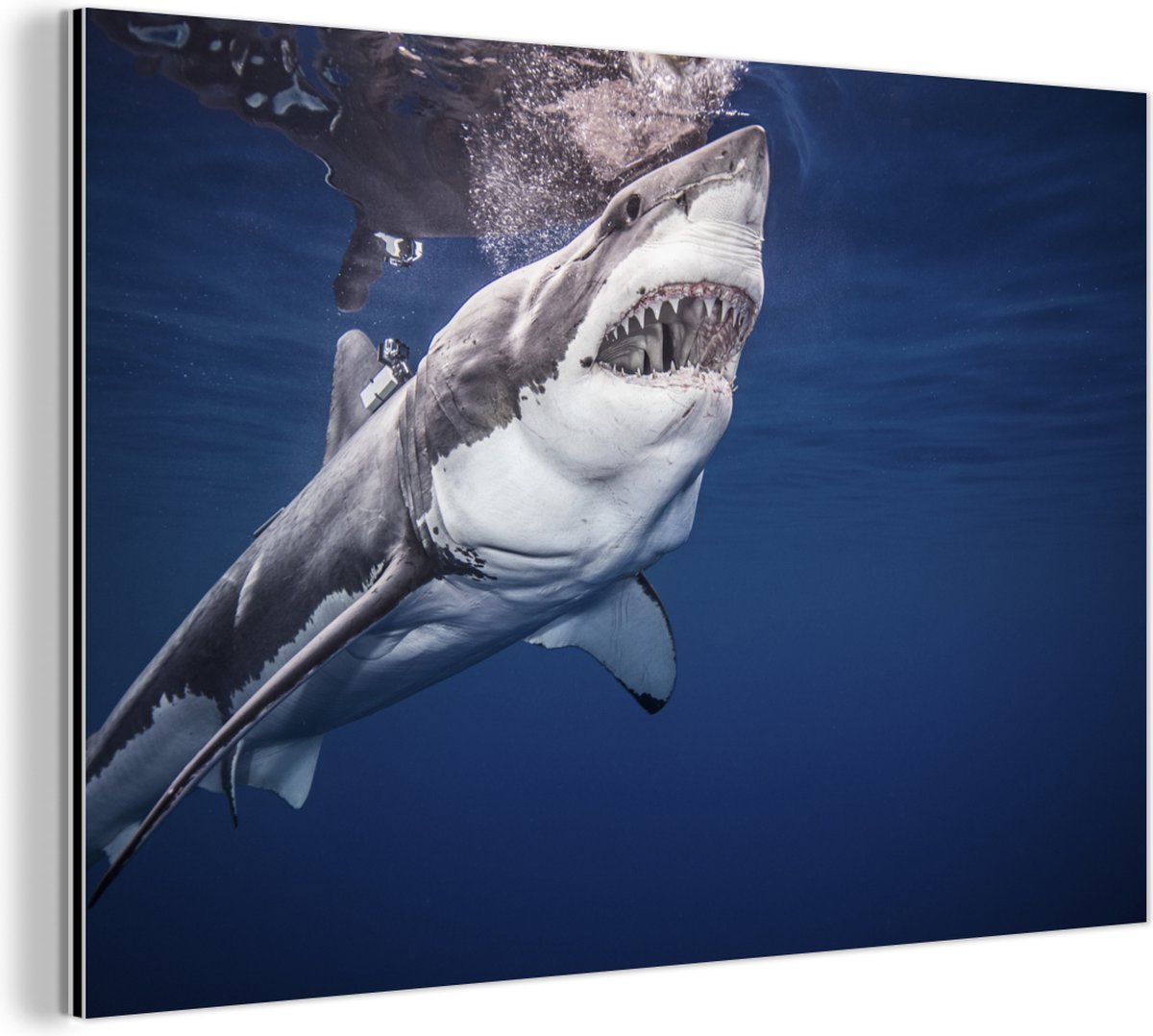 Décoration murale Métal - Peinture Aluminium Industrielle - Requin ...