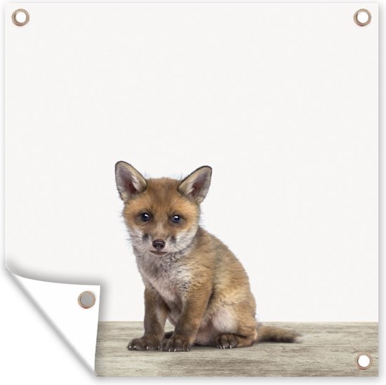 Tuin poster Vosje - Baby vos - Kinderen - Meisjes - Jongens - 200x200 ...