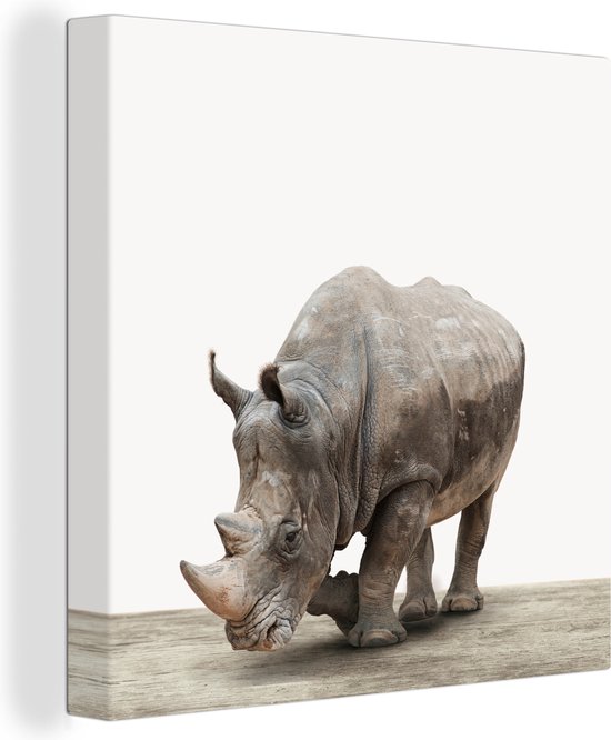 Canvas doek kids - Wanddecoratie meisjes - Jongens - Neushoorn - Dieren ...