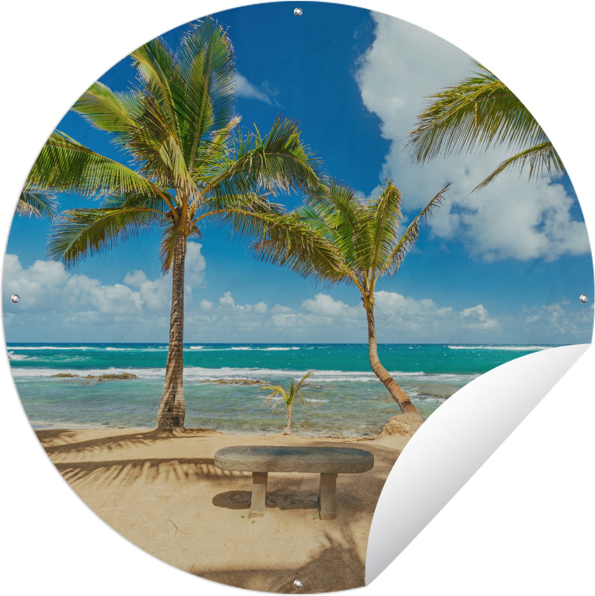 Garden Circle Palmiers à Kuau Cove Beach à Maui - 90x90 cm - Affiche de ...