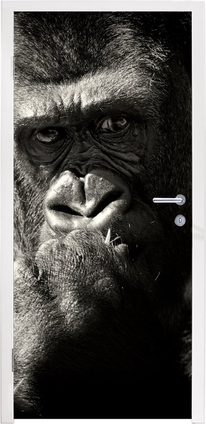 Deursticker Dierenprofiel gorilla in zwart-wit - 85x205 cm - Deurposter | bol