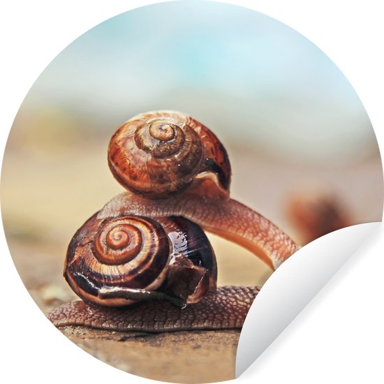 WallCircle - Muurstickers - Behangcirkel - Slakken - Steen - Dieren ...