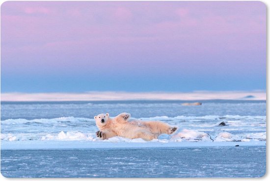 Bureau mat - Zwaaiende ijsbeer op ijsschots - 60x40 | bol.com