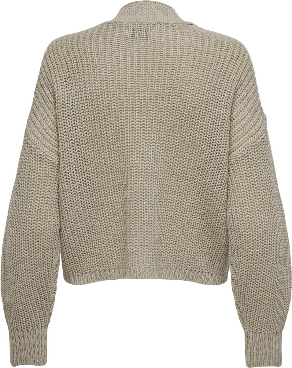 ONLY ONLCAROL NICE L/S CARDIGAN KNT NOOS Dames Vest - Maat L | bol