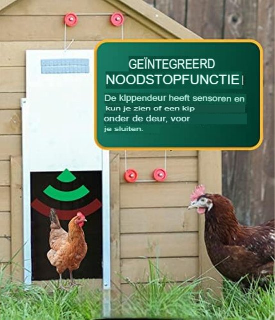 Kippenluik Automatisch - Kippendeur Automatisch - Automatisch ...