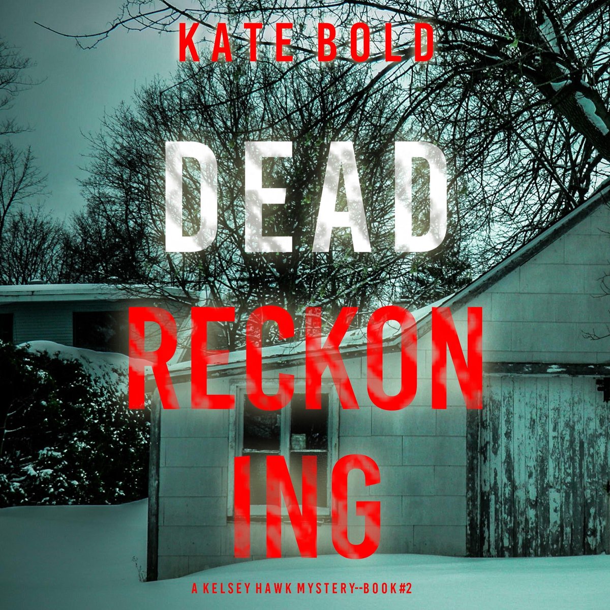 Dead Reckoning (A Kelsey Hawk FBI Suspense Thriller—Book Two), Kate ...
