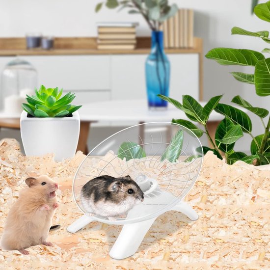 Healthy Huisdier Looprad - Hamsterwiel - Knaagdier speelgoed - Silent spinner -... | bol