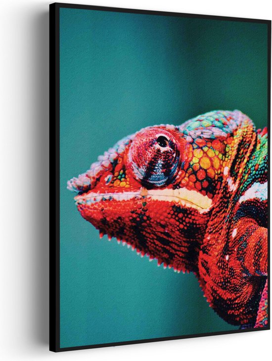 Akoestisch Schilderij Kameleon Kleurrijk Rechthoek Verticaal Basic XXL (107 X 150 CM)... | bol.