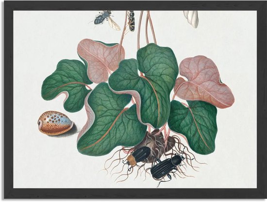 Poster Prent Natuur Vogel en Bloemen 12 Rechthoek Horizontaal Met Lijst ...