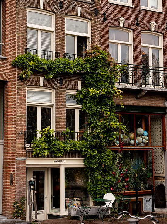 Mijn Verticale Tuin - Verticale Geveltuin - RVS Klimplantkabel 4 Meter ...