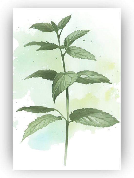 Mint poster - Poster keuken - Top kwaliteit - Poster eetkamer - Keuken ...