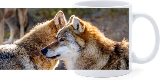 Beker - Wolf Roedel | bol
