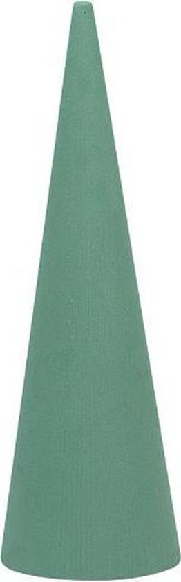 Oasis - Ideal Kegel - Steekschuim - 2 stuks - ø16x50cm | bol