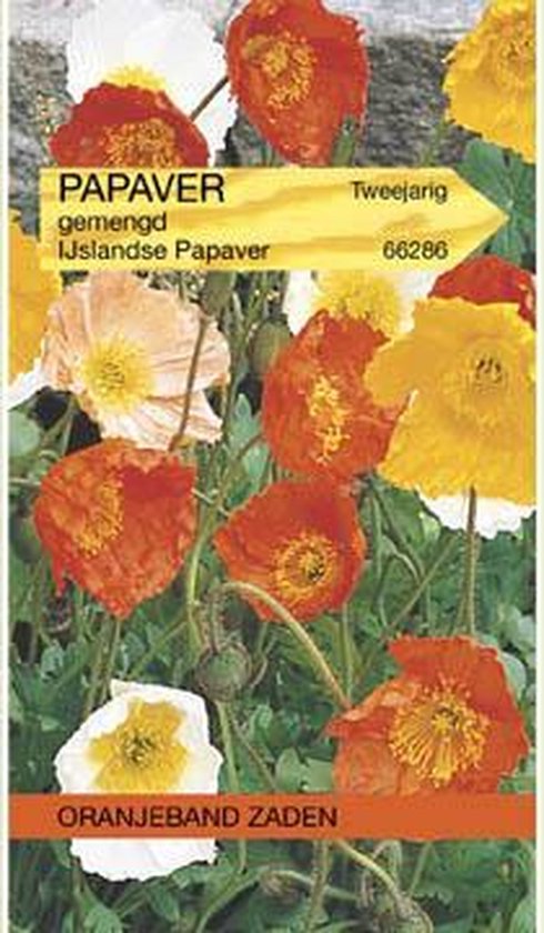 Papaver, IJslandse Klaproos gemengd | bol