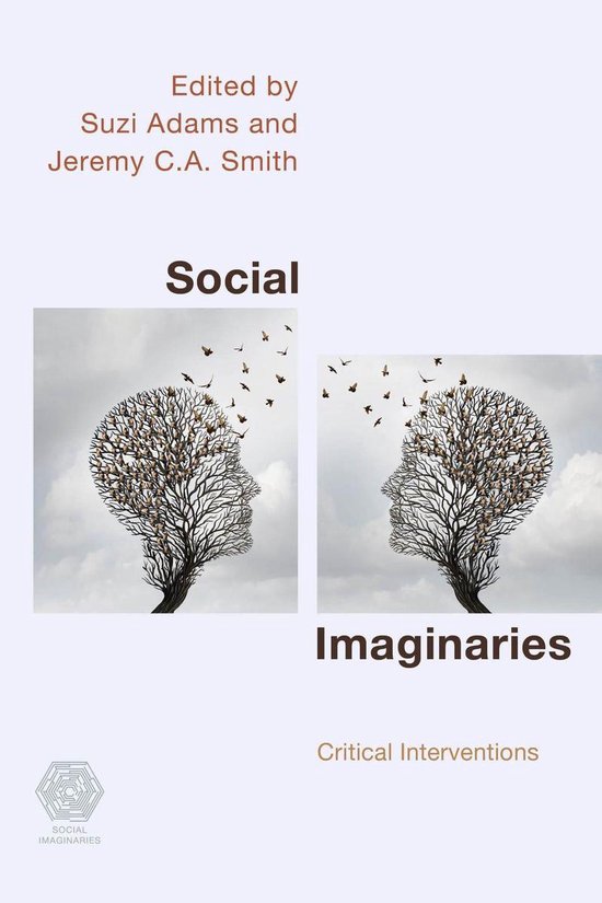 Social Imaginaries - Social Imaginaries (ebook) | 9781786607775 ...