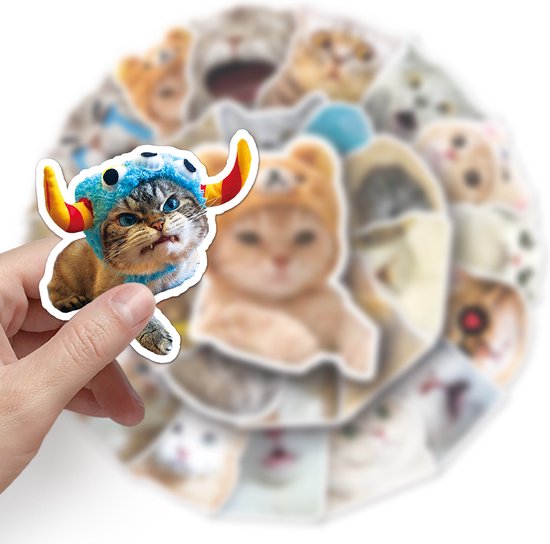Cat Meme sticker set - 50 stuks - Voor laptop, smartphone, muur. Voor ...