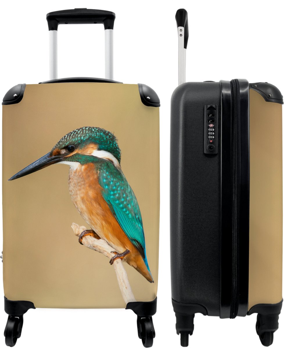 NoBoringSuitcases.com - Valise - Martin-pêcheur - Animaux - Nature ...