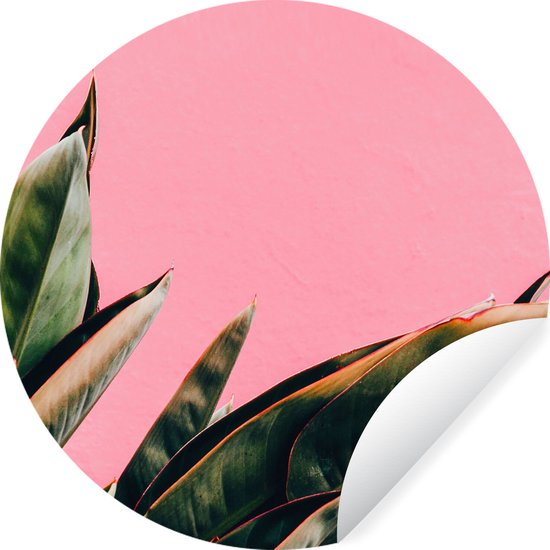 WallCircle - Muurstickers - Behangcirkel - Planten - Bladeren - Vrouwentong - Roze -... | bol