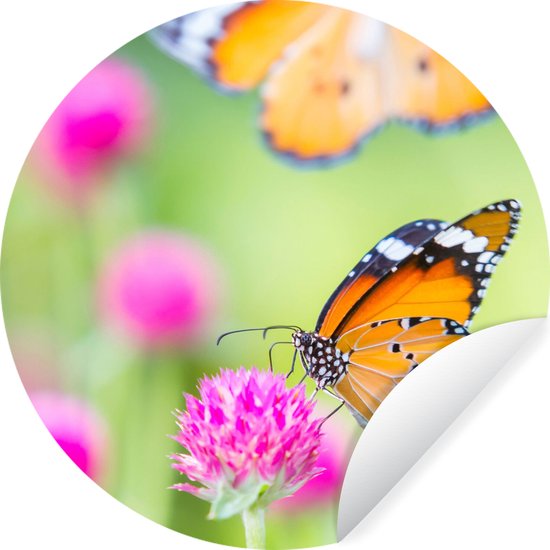 WallCircle - Muurstickers - Behangcirkel - Insecten - Vlinders - Bloemen - 100x100 cm... | bol