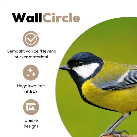 Behangcirkel - Vogel - Koolmees - Groen - Dieren - Zelfklevend behang ...