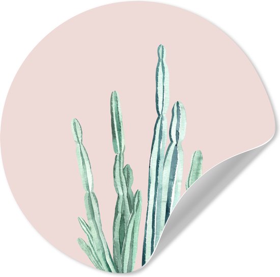 WallCircle® - Behangcirkel 120x120 cm - Muurstickers Cactus - Vetplanten - Roze -... | bol