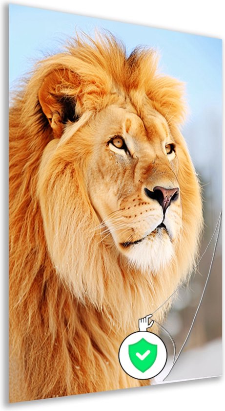 Leeuw poster - Dieren wanddecoratie - Posters Achtergrond ...