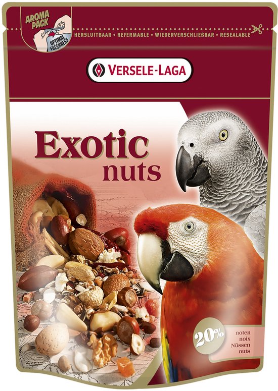 Papegaai voeding | Huisdierpedia