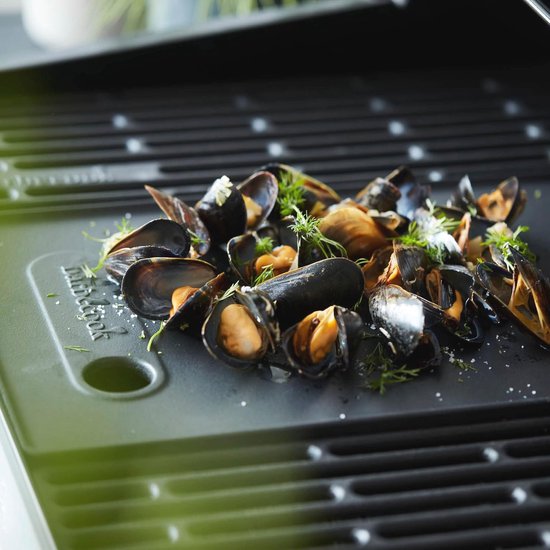Universele Gietijzeren Grillplaat 42,7x24 cm - Grillaccessoire voor ...