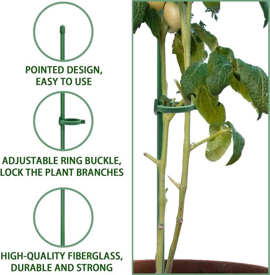 Orchideeënstaven, plantensteun, 45 stuks plantenstokken, bloemensteun ...