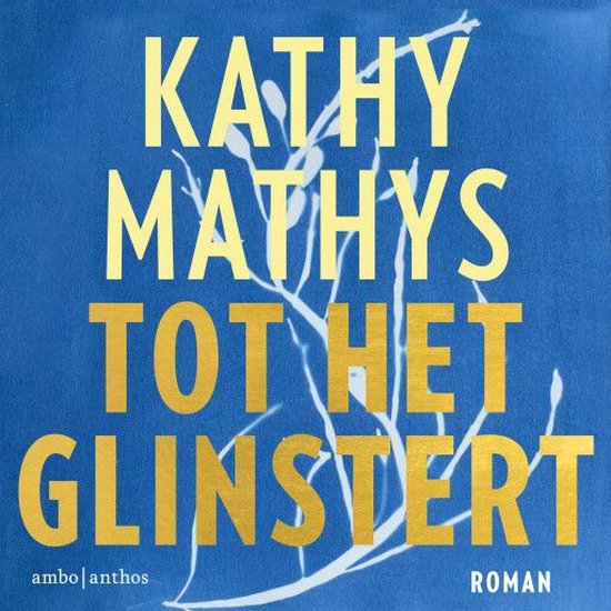 Tot het glinstert, Kathy Mathys | 9789026368424 | Boeken | bol