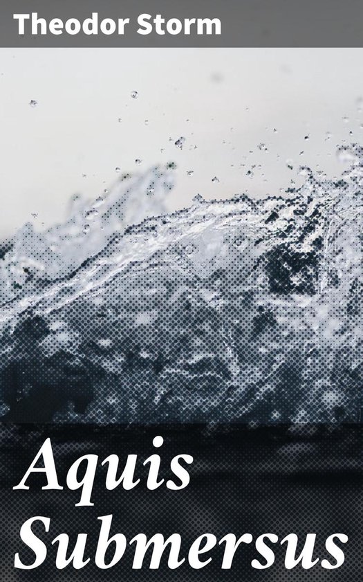 Aquis Submersus (ebook), Theodor Storm | 4064066108687 | Boeken | bol.com