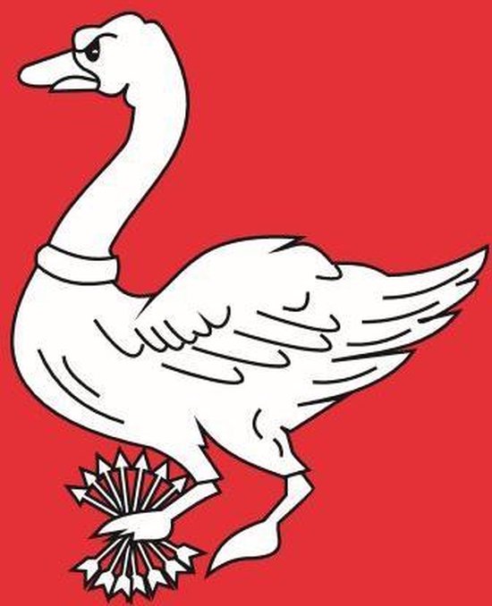 Vlag Landsmeer 30x45cm | bol.com