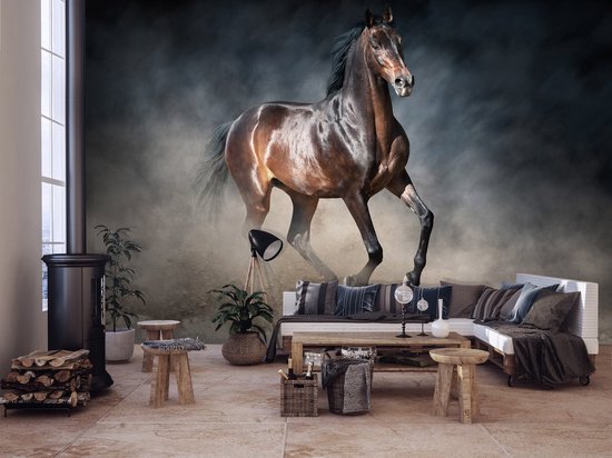 Fotobehang - Posterbehang - Bruin Paard - Paardenkamer - 152,5 x 104 cm ...