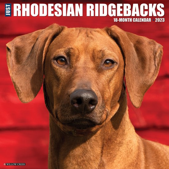 Rhodesian Ridgeback Kalender 2023 | bol