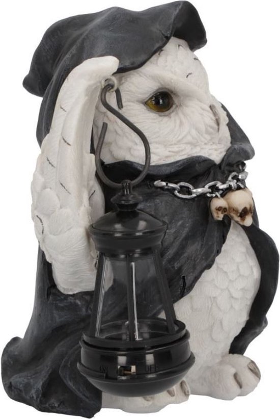 Nemesis Now - Reapers Flight - Beeld/Figuur - Wit Uiltje Gekleed als ...