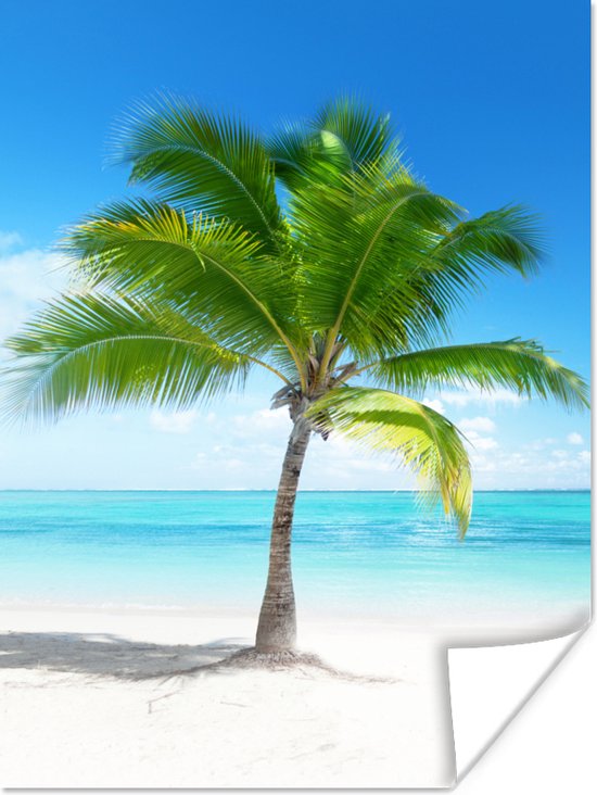 Poster Palmboom - Strand - Zee - Zomer - 90x120 cm | bol