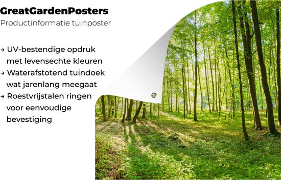 Muurdecoratie buiten Natuur - Bomen - Bos - Groen - Zonlicht - 160x120 ...