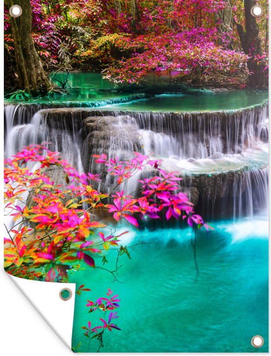 Poster Mural Nature