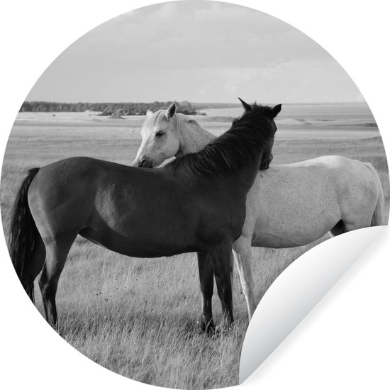 Behangcirkel - Zelfklevend behang - Dieren - Paarden - Gras - Natuur - 100x100 cm -... | bol
