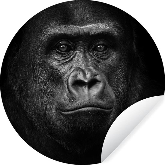 Behangcirkel - Gorilla - Aap - Zwart-wit - Portret - Zelfklevend behang - 50x50 cm -... | bol