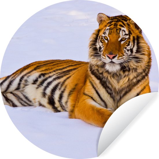 Wallcircle - Behangcirkel - Zelfklevend behang - Tijger - Sneeuw - Winter - Dieren -... | bol