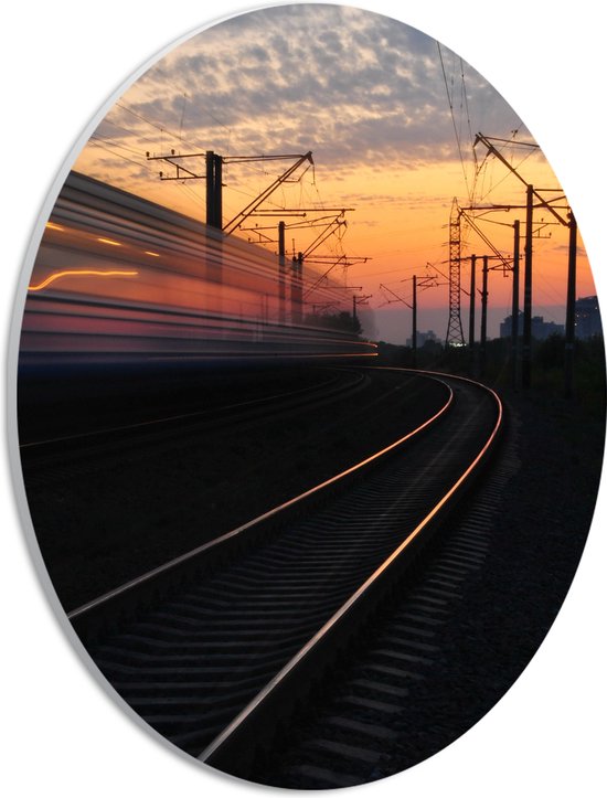 WallClassics - PVC Schuimplaat Ovaal - Voorbijrazende Trein bij ...