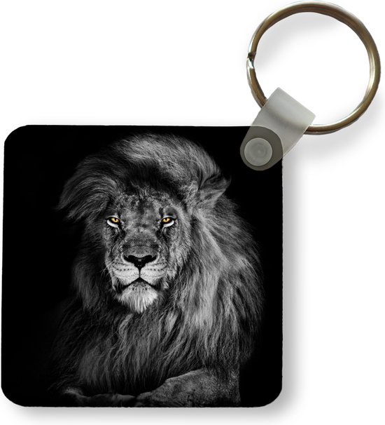 Sleutelhanger - Uitdeelcadeautjes - Leeuw - Ogen - Oranje - Zwart wit - Dieren -... | bol