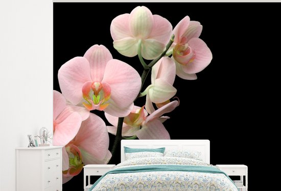 Behang - Fotobehang Orchidee - Bloemen - Roze - Stilleven - Flora ...