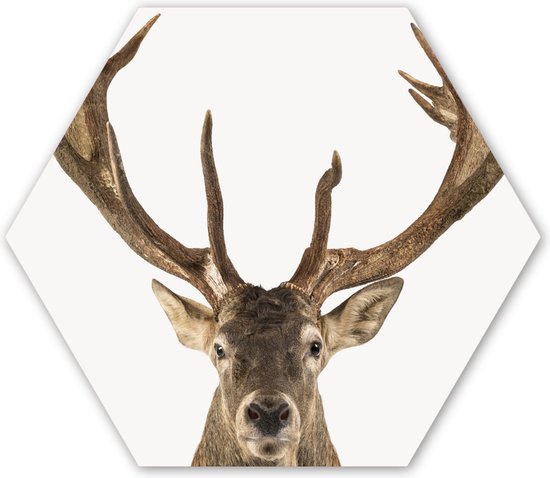 Hexagon wanddecoratie - Kunststof Wanddecoratie - Hexagon Schilderij - Hert - Dieren -... | bol