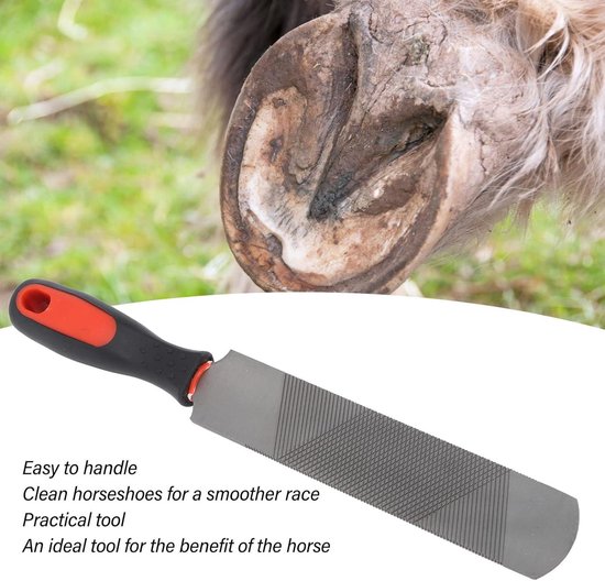 Ergonomische Hoefrasp Plat 128 Inch - Handvat - Koolstofstalen Hoefvijl ...